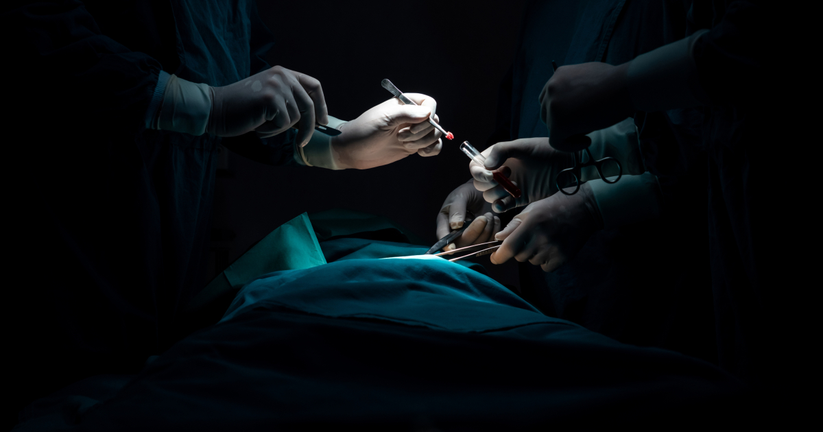 Conference and presentation Report Forced Organ Harvesting from Living ...